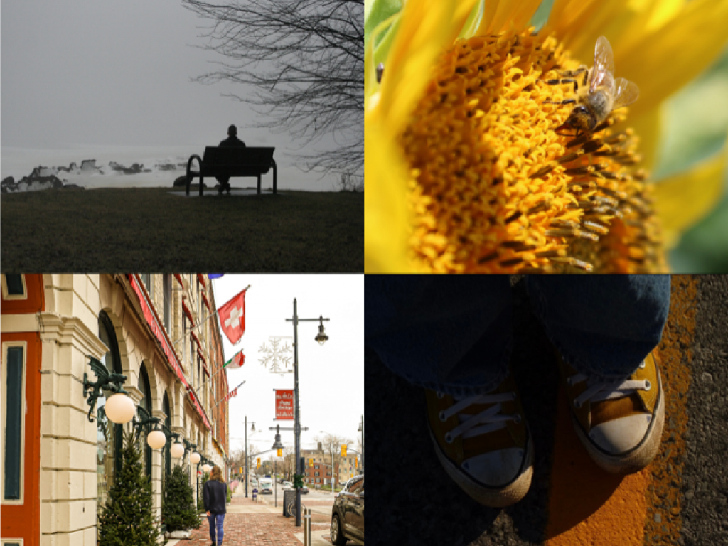InQuinte.ca | Winning entries of youth photo contest go on display InQuinte.ca | Winning entries of youth photo contest go on display