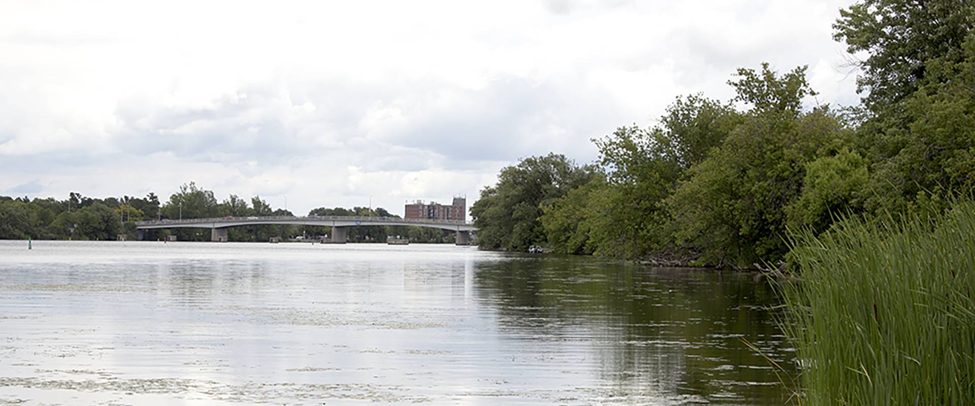 INQUINTE.CA | Quinte West to help keep local Greenbelt green