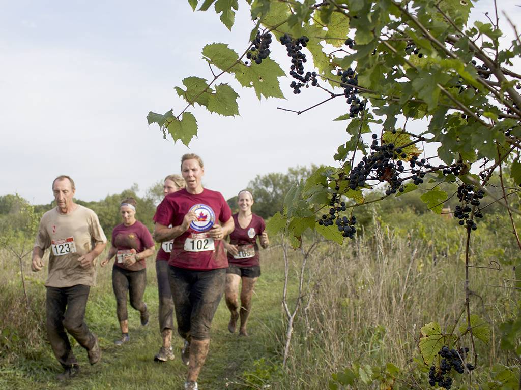 INQUINTE.CA | Grapes of Wrath mud run a success in PEC