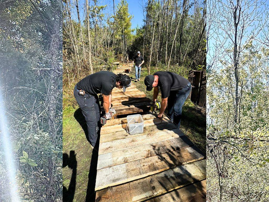 InQuinte.ca | Local company again leads Boardwalk Build for Quinte ...