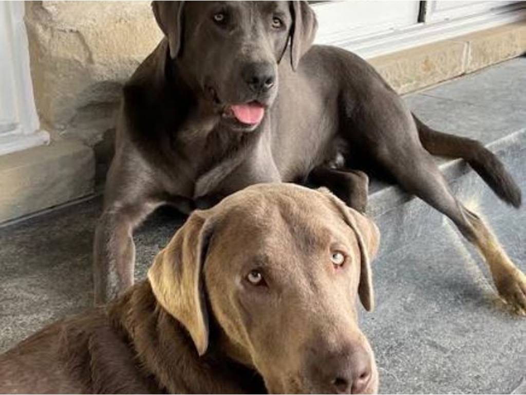 InQuinte.ca | Humane Society receives second $50,000 gift on behalf of ...