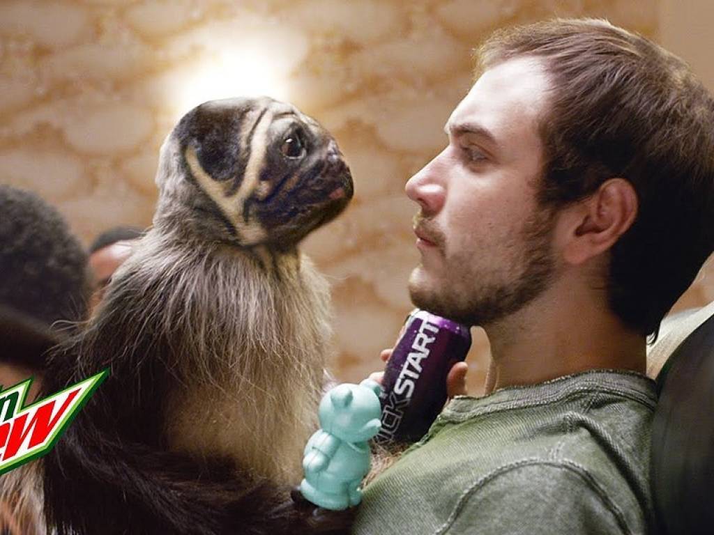 INQUINTE.CA | Offbeat humour and upbeat messages dominate Super Bowl 50 ...