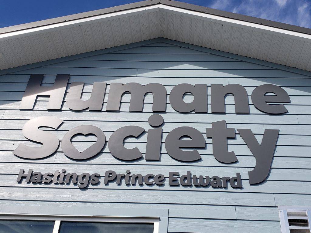 InQuinte.ca | Humane Society celebrates one year anniversary in new ...