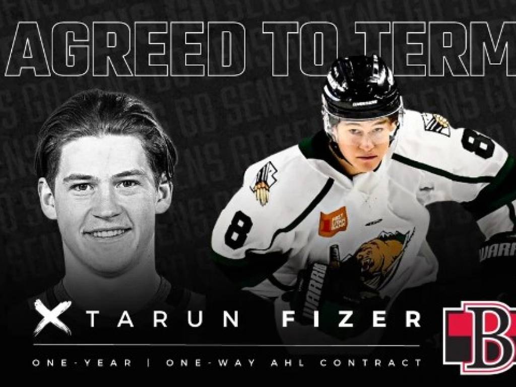 InQuinte.ca | New B-Sens forward expected to bring offensive punch to ...
